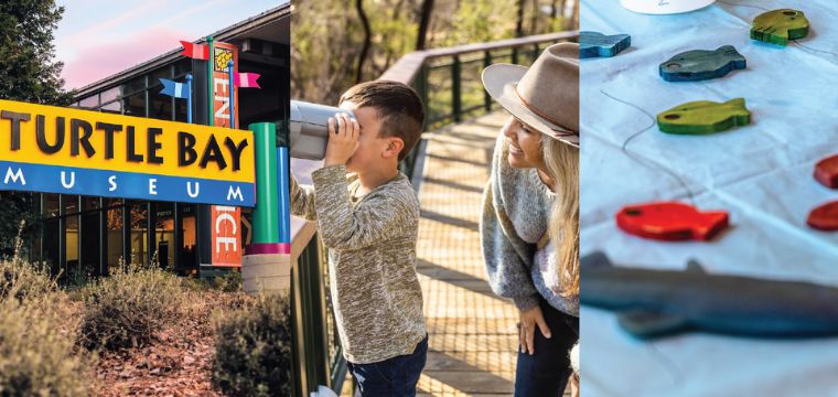 Turtle Bay Exploration Park